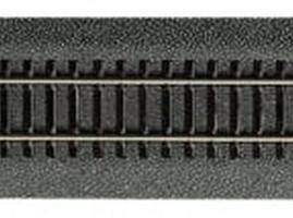 Roco N Rails ETS Modelspoor